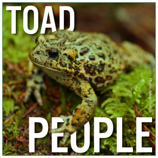 Launching from the lily pad – Toad People